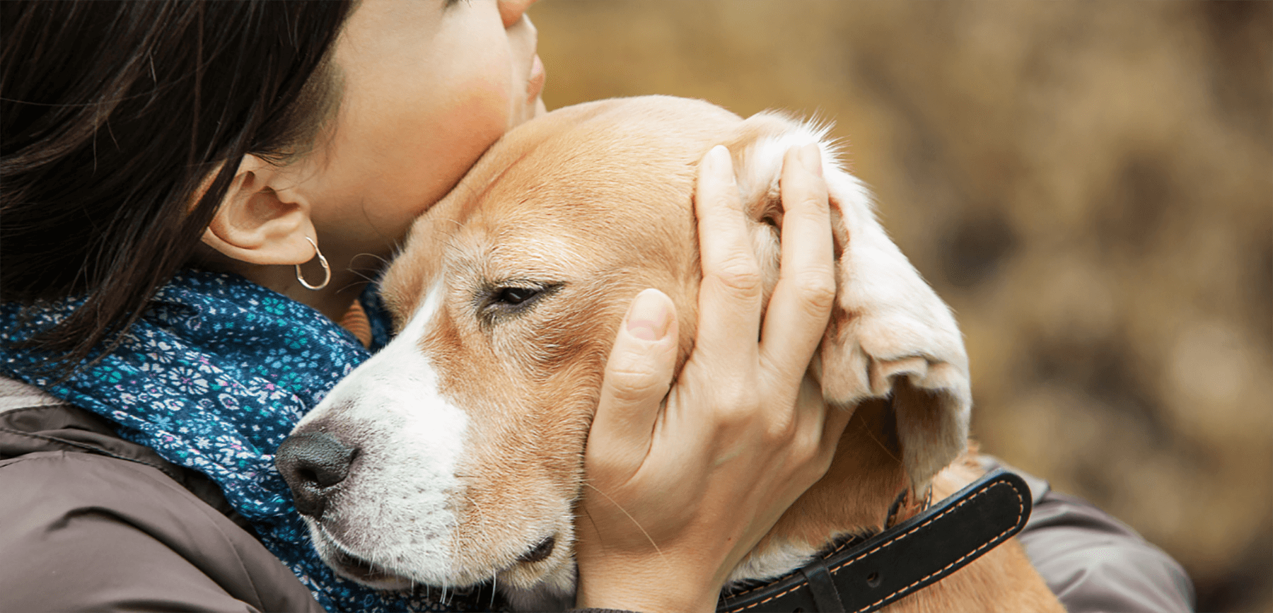 Preparing To Say Goodbye To Your Pet – Flint Animal Cancer Center
