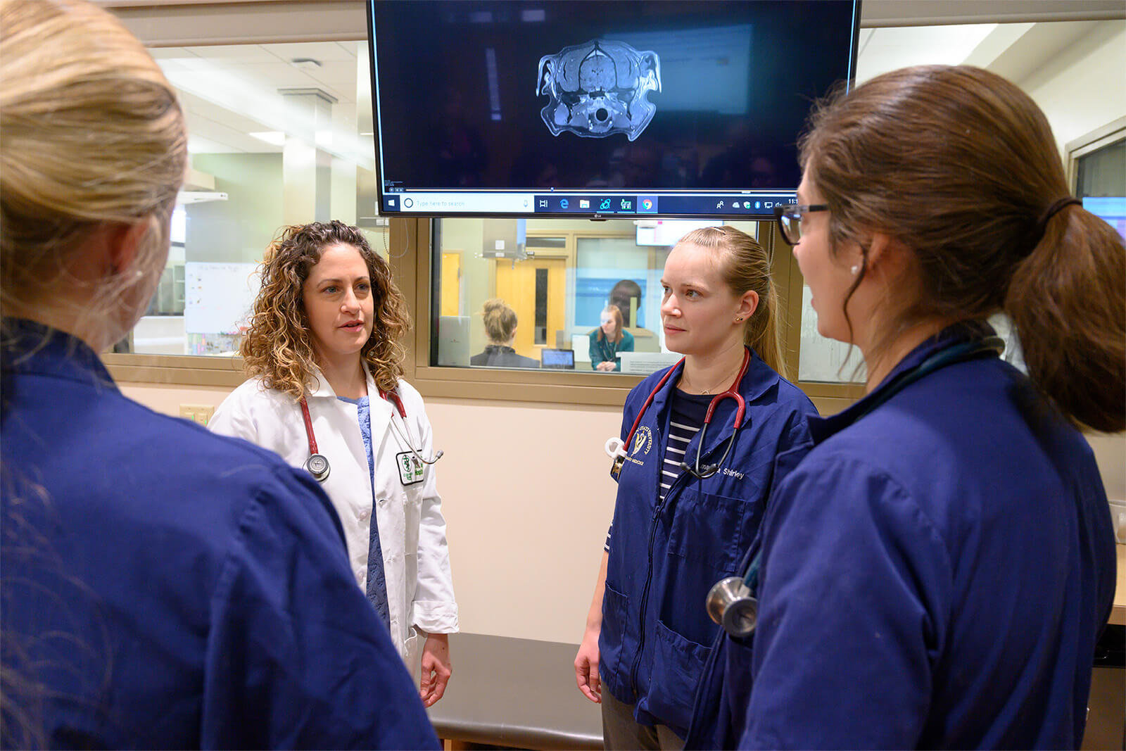 Interview with Dr. Kate Vickery – Flint Animal Cancer Center