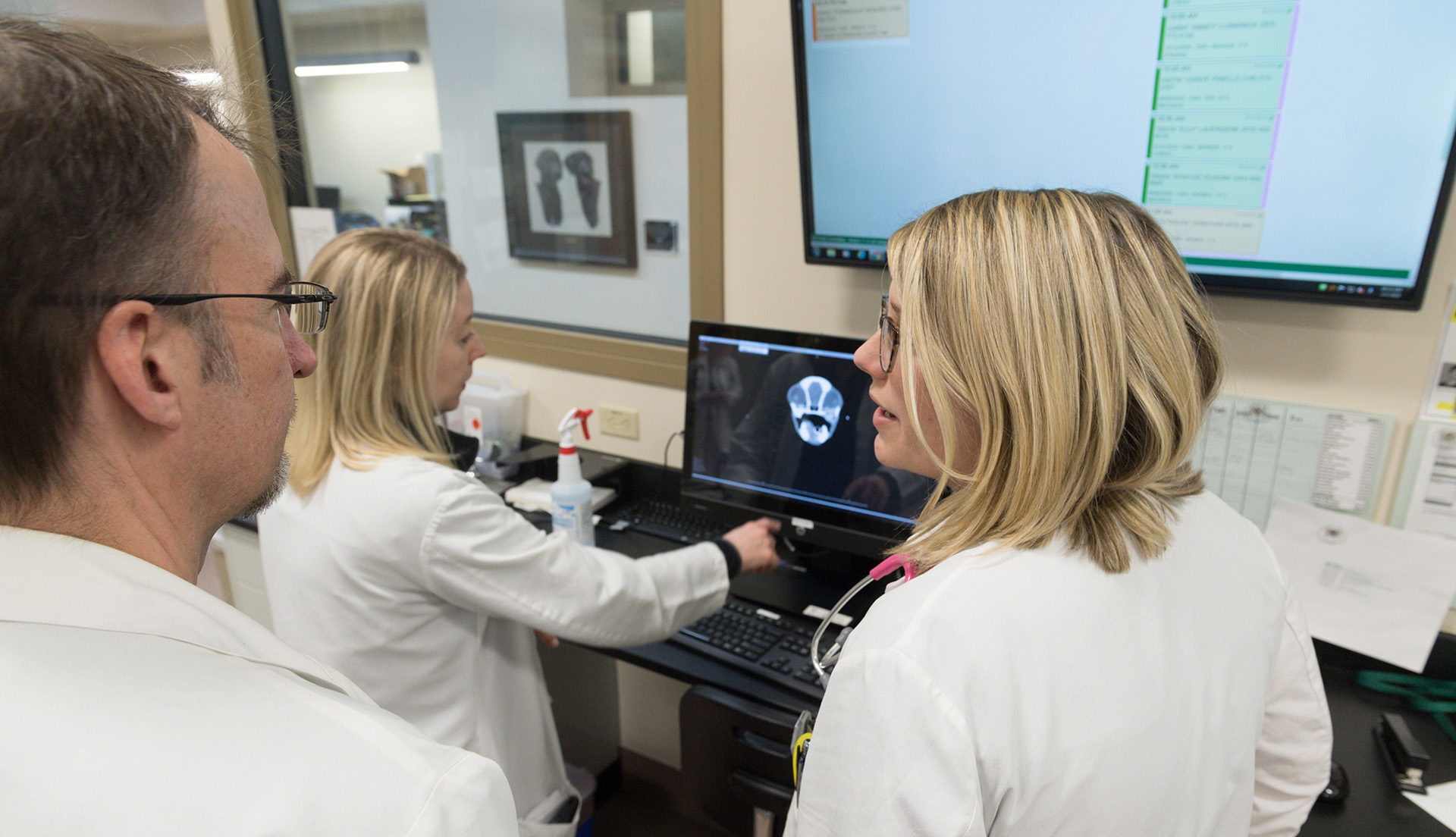 Consult A Professional – Flint Animal Cancer Center