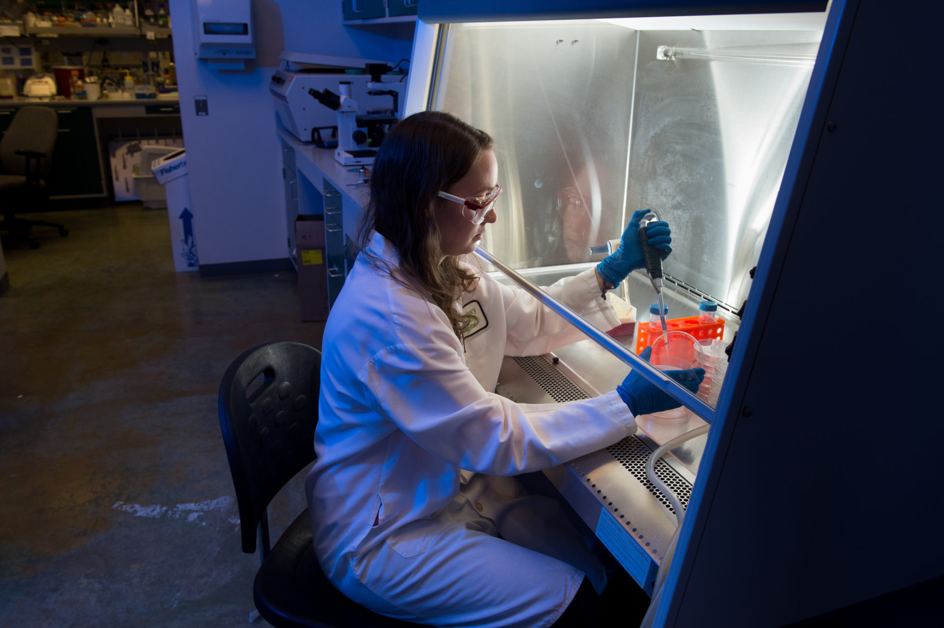Comparative Oncology Research – Flint Animal Cancer Center