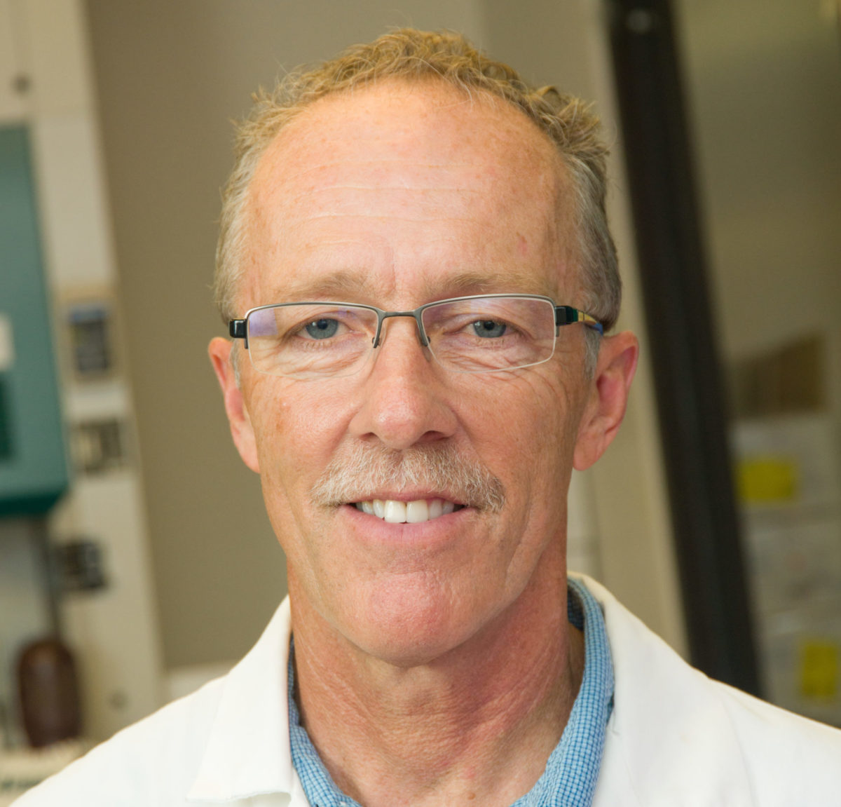 Steve Dow, DVM, PhD – Flint Animal Cancer Center