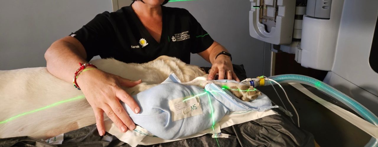 Palliative Radiation Therapy With or Without Bisphosphonates or ...